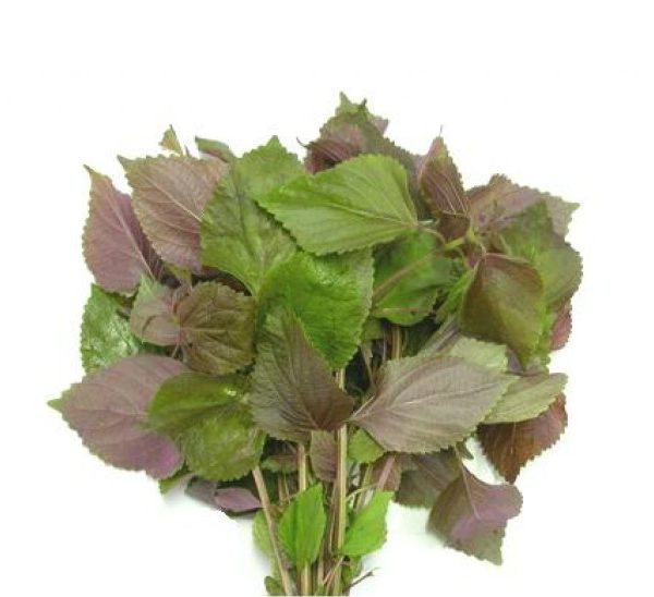 Beefsteak Plant/Rau Tia To (100gr) - A Chau Market