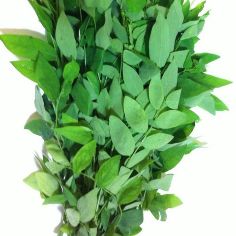 Pak Wan/Rau Ngót (200gr) - A Chau Market